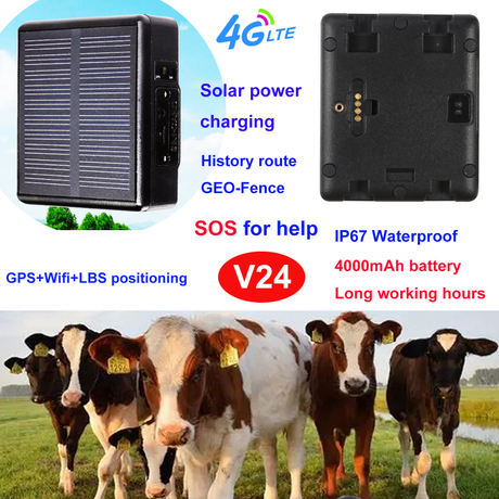 4G Sheep horse GPS Tracker with Cow large collar V24 - Buy Animal GPS ...