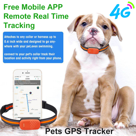 Waterproof pet tracker GPS 4G LTE animal tracking device with free ...