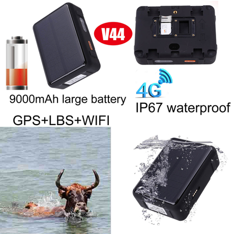 4G LTE Solar Charging Cow Cattle Tracker GPS device V44 - Buy Animal ...